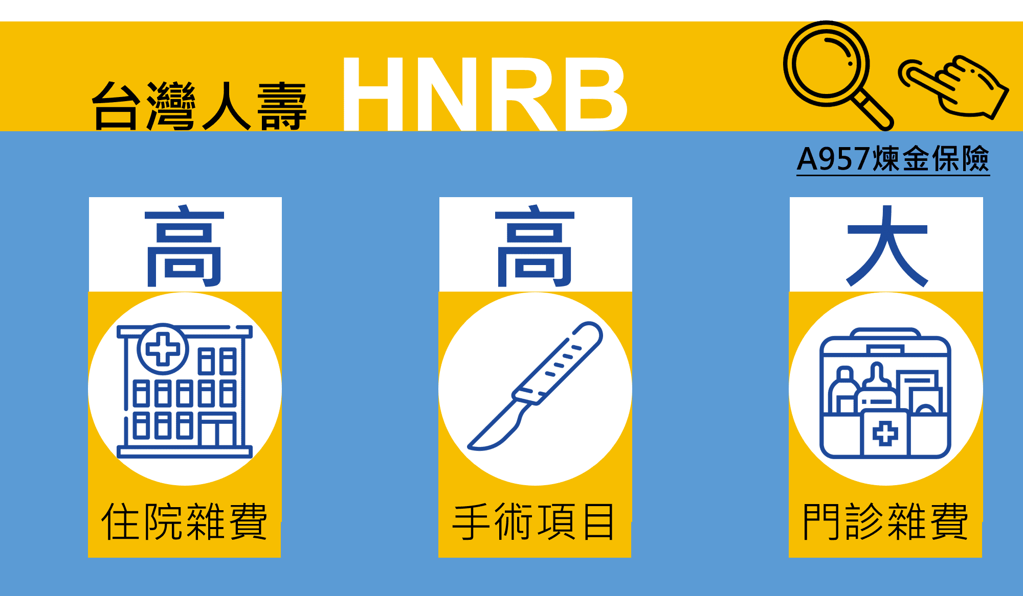 台壽HNRB，高手術費用，雜費廣，腫瘤另計，常見醫療實用 | A957煉金保險